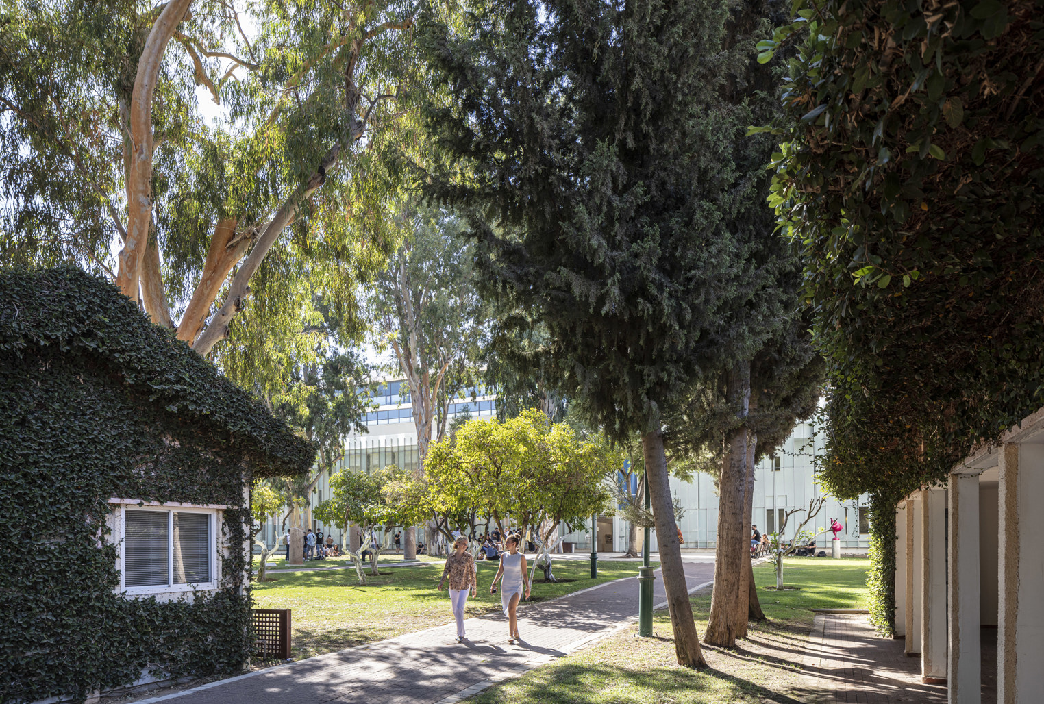 President's Office | Reichman University (IDC Herzliya)