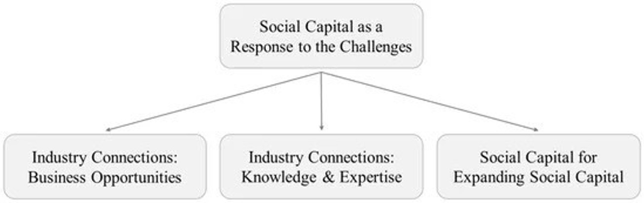The Importance of Building Social Capital in the Process of ...
