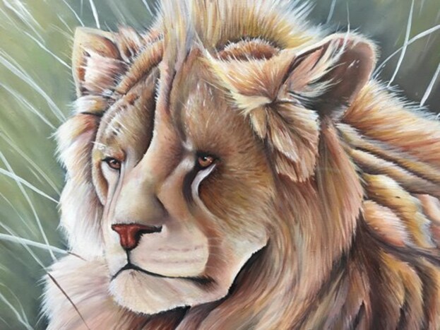 Wild at Marc Rich Library | Reichman University (IDC Herzliya)