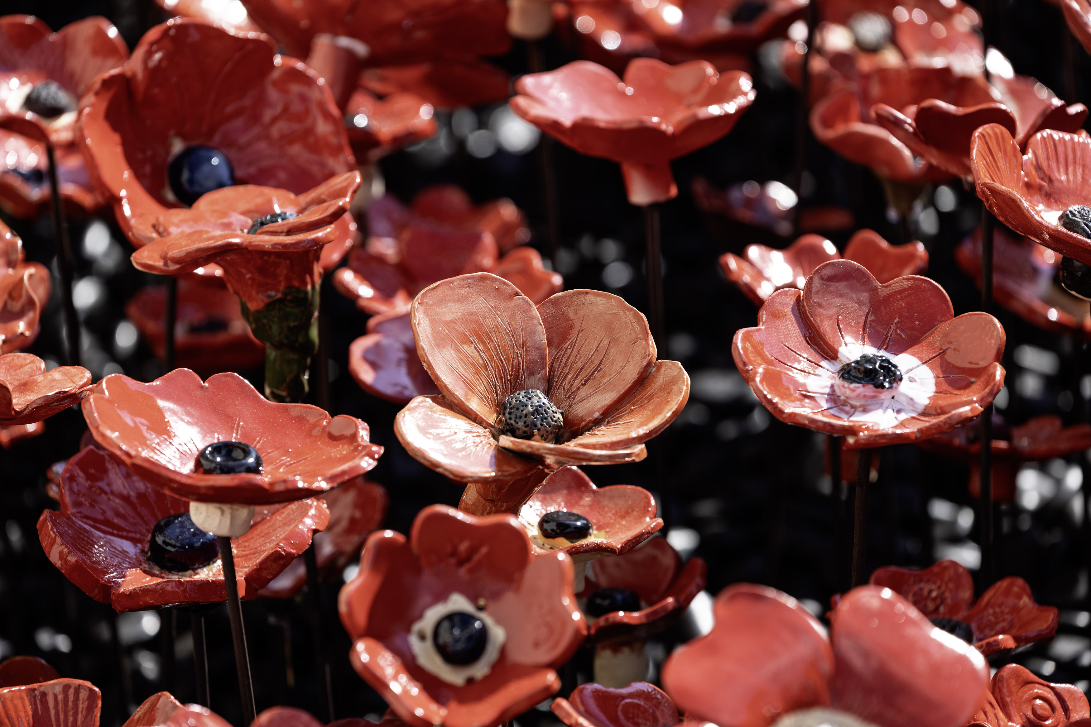 The installation “Anemones Before the Rain” is on display at Reichman ...