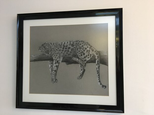 Wild at Marc Rich Library | Reichman University (IDC Herzliya)