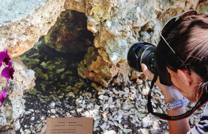 Israeli Zoom exhibition at Marc Rich University | Reichman University