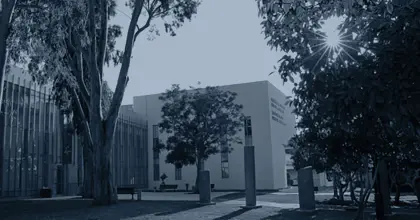 Special Programs | Reichman University